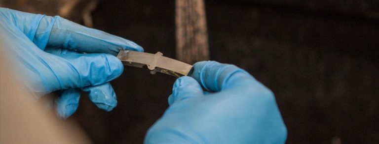 Standards – Prolamsa