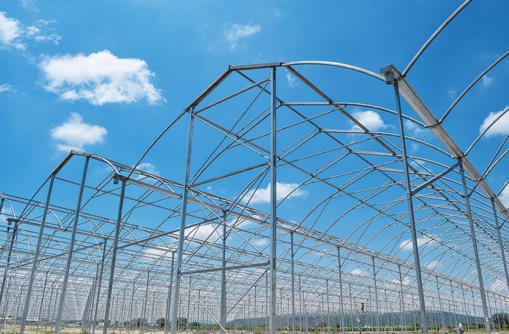Invernaderos – Prolamsa